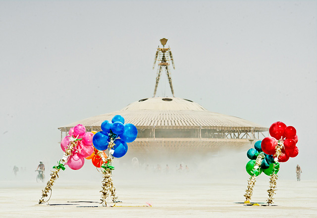 Burning Man Blooms | Dust to Ashes