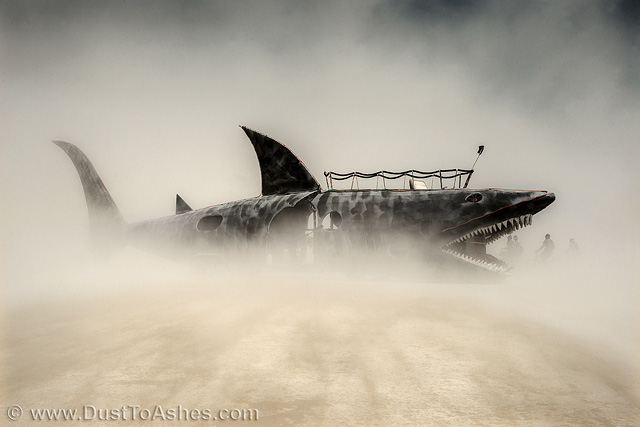 Shark in Sea of Dust | Dust to Ashes