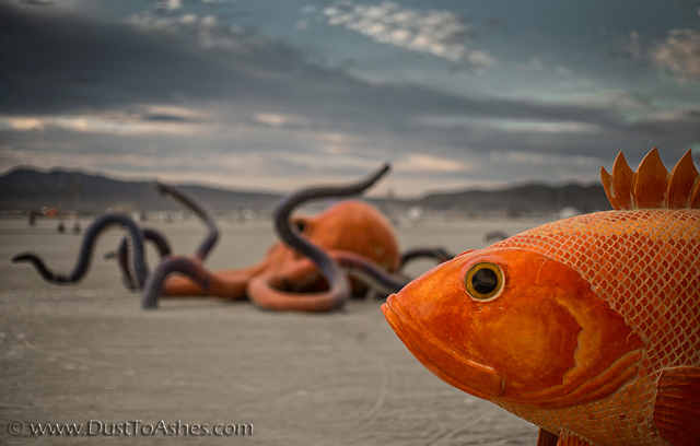 Octavius (part 2) | Dust to Ashes