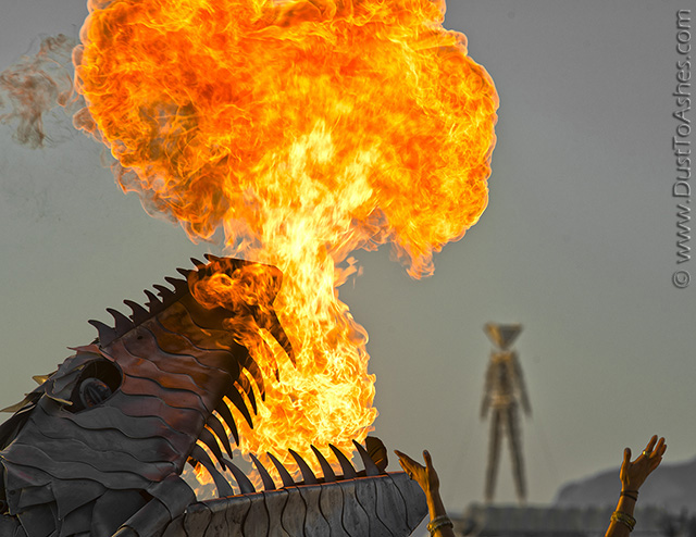 Angry Dragon | Dust to Ashes