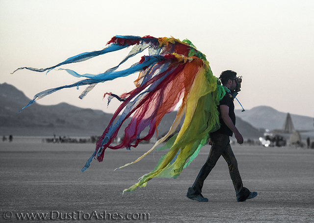 Walking Rainbow | Dust to Ashes